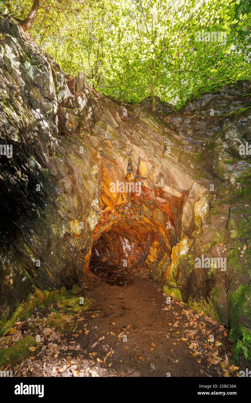 Slate mining remains in forest on the Ruisseau de Mohron stream valley ...