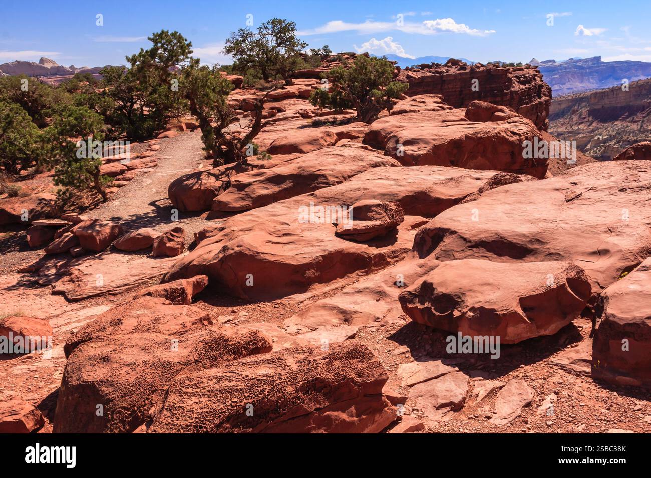 A rocky desert landscape with a tree in the foreground. Concept of ...