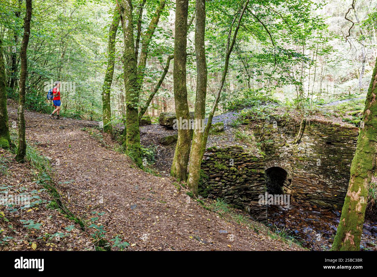 Stone bridge in the slate mining area of forest on the Ruisseau de ...