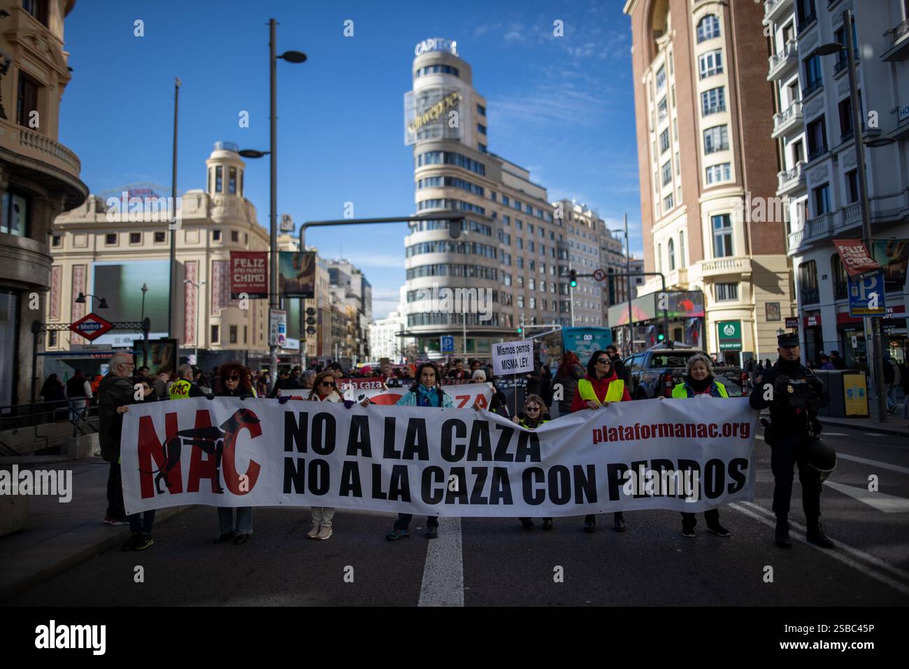 Animal rights demonstration through the streets of central Madrid to ...