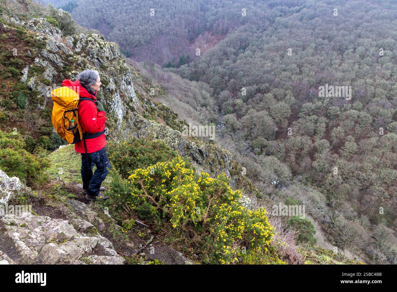 Walker on Sharp Tor, Teign Valley, Dartmoor, UK Stock Photo - Alamy
