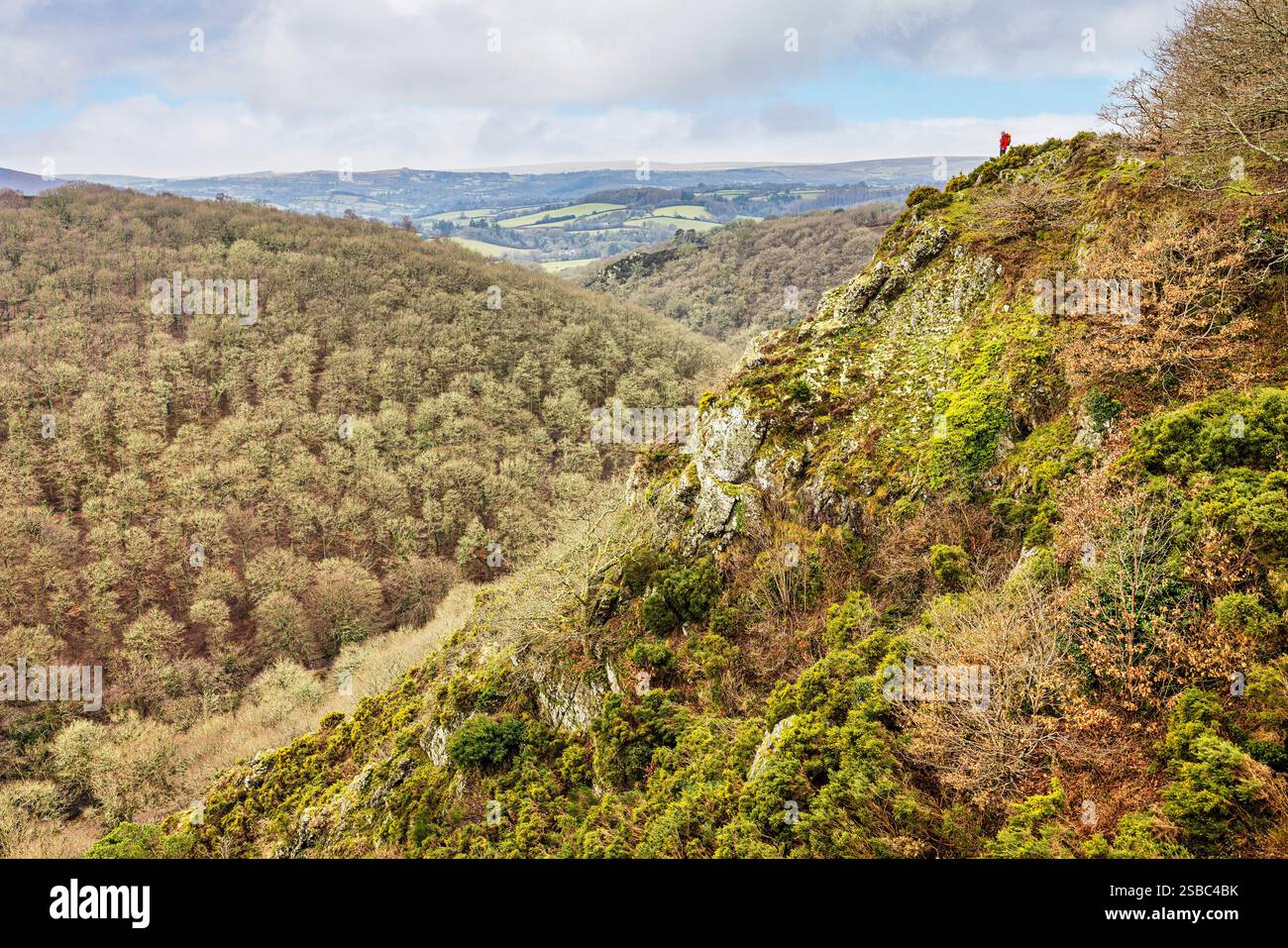 Walker on Sharp Tor, Teign Valley, Dartmoor, UK Stock Photo - Alamy