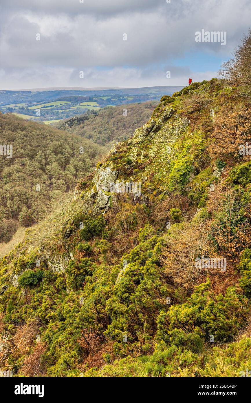 Walker on Sharp Tor, Teign Valley, Dartmoor, UK Stock Photo - Alamy