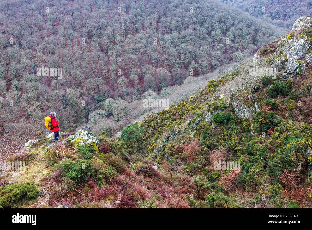 Walker on Sharp Tor, Teign Valley, Dartmoor, UK Stock Photo - Alamy