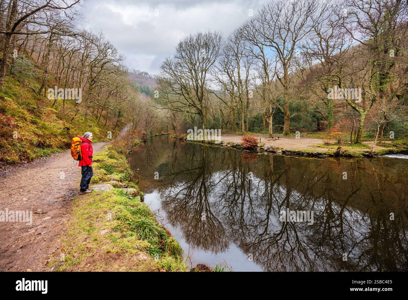 Forester's track, Teign River, Teign Valley, Dartmoor, UK Stock Photo ...