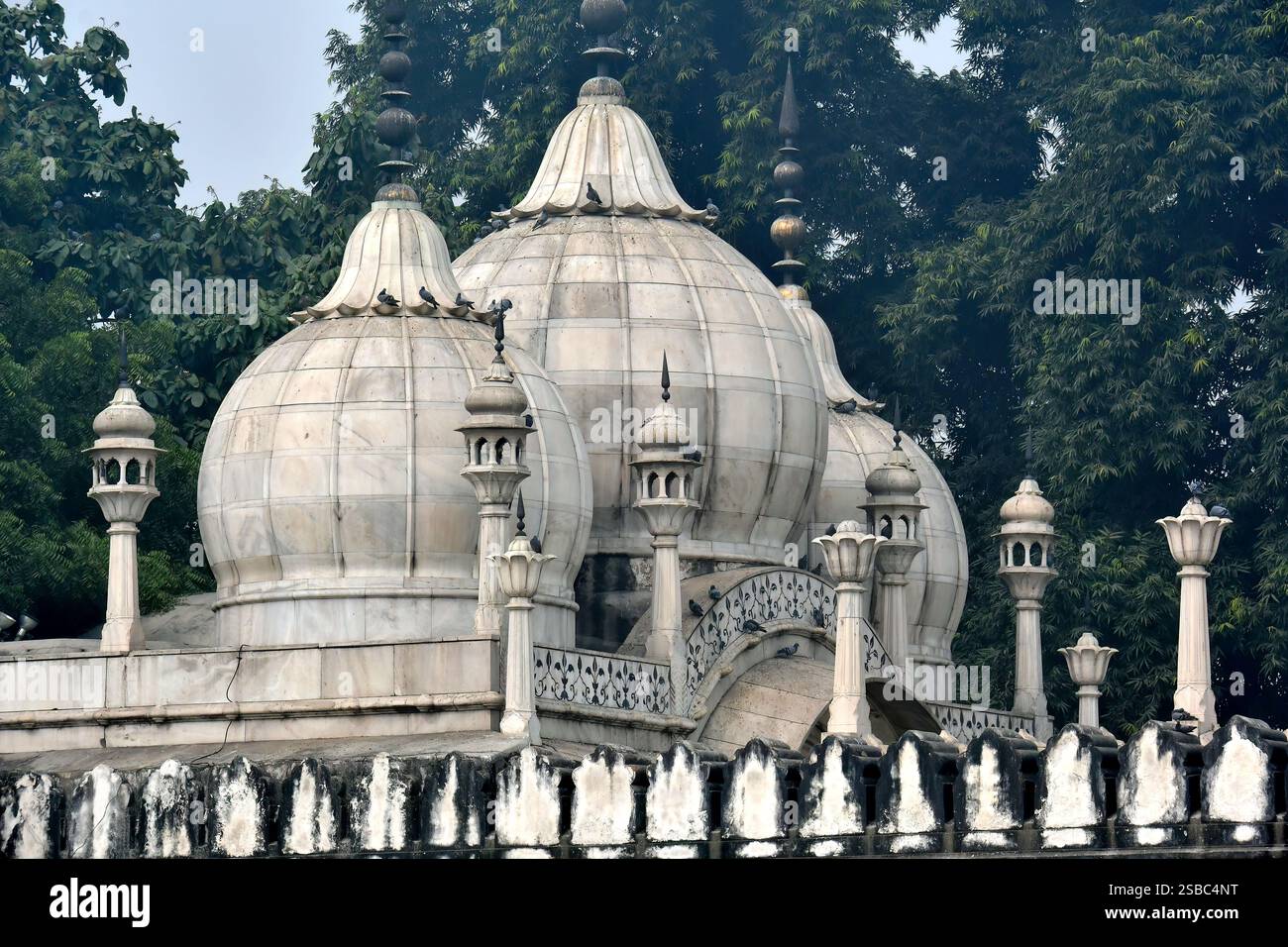 Moti Masjid, Pearl mosque, Red Fort, Delhi, India, Asia, UNESCO World ...
