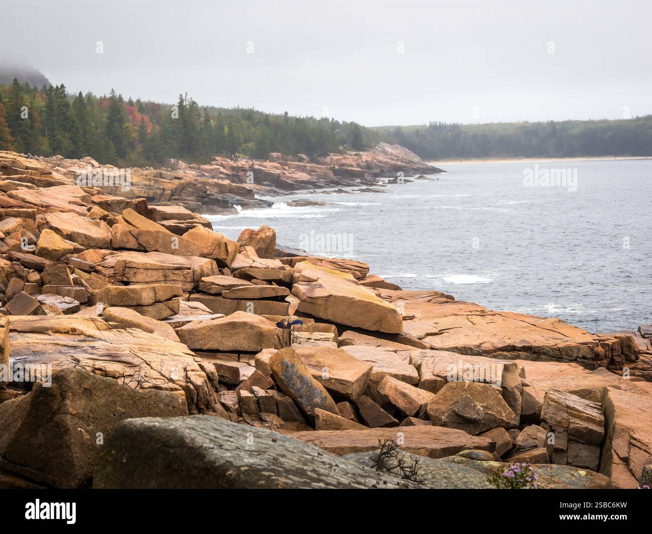 Rugged rocky Atlantic Ocean coast on the Park Loop Road on Mount Desert ...