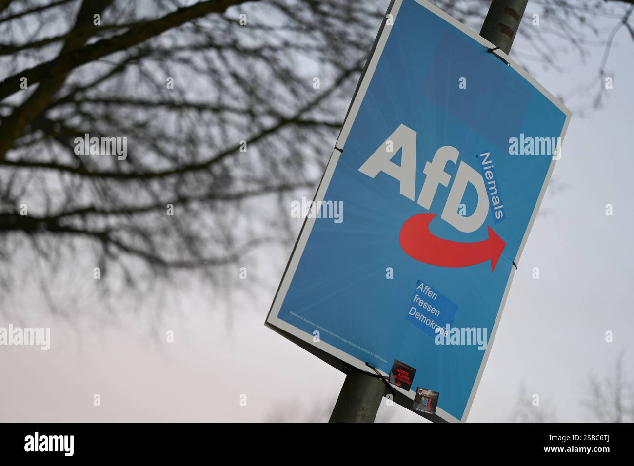 Plakate der Alternative für Deutschland beklept. Niemals und Affen ...