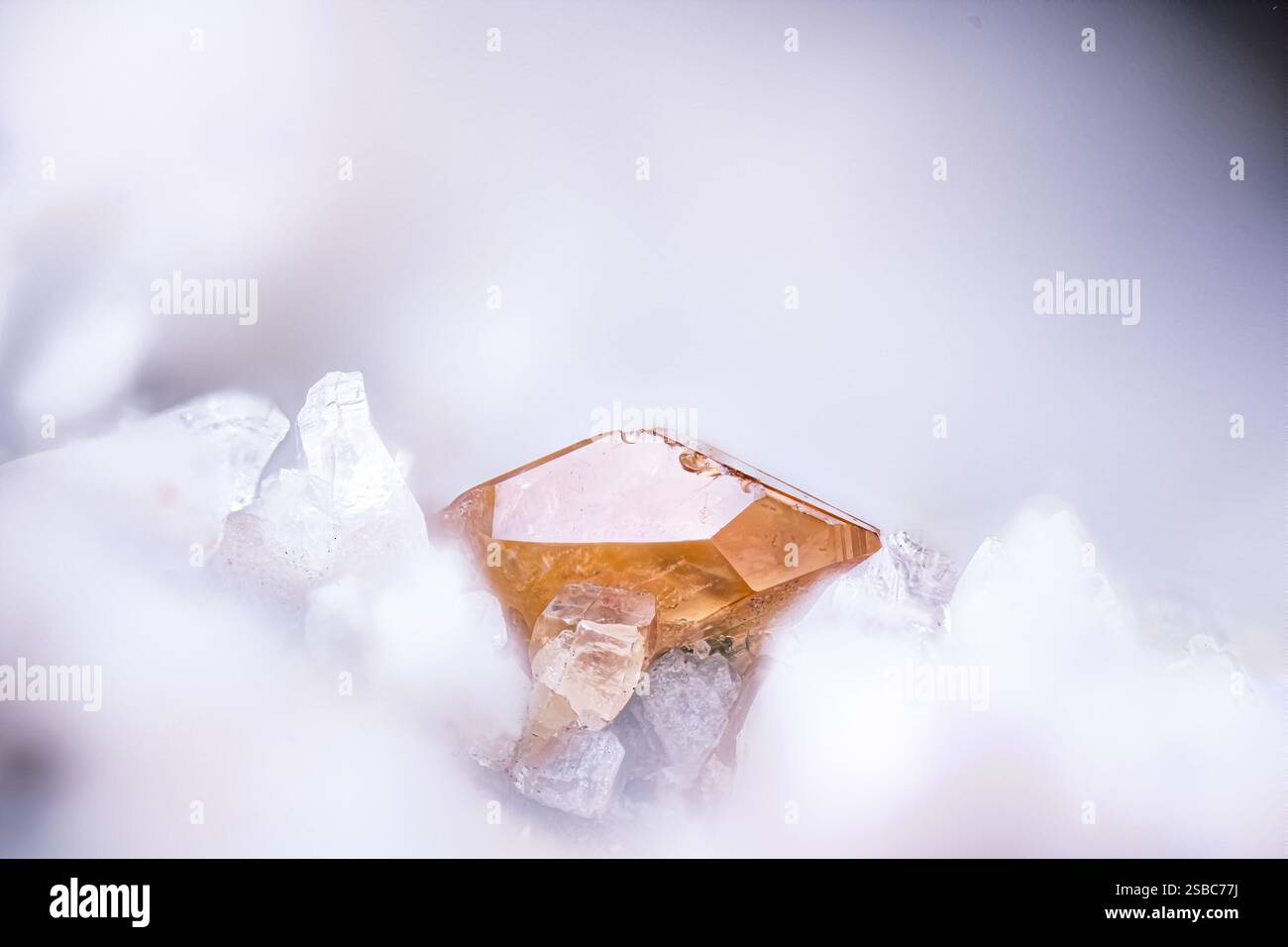 Titanite crystal. Specimen from Grieswies, Rauris, Autria. Micro ...