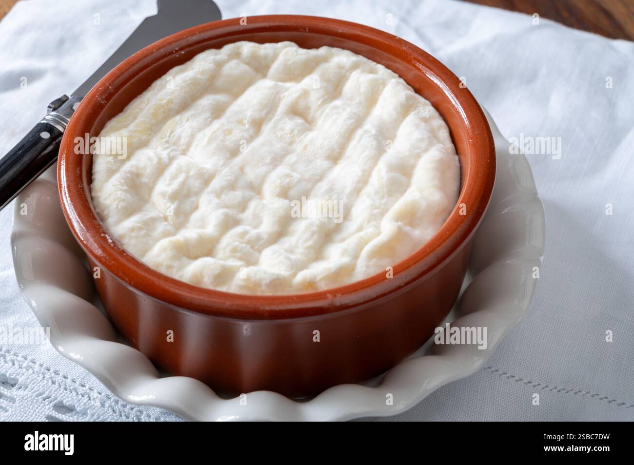 French dauphinois cheeses collection, Saint-Marcellin, creamy Saint ...