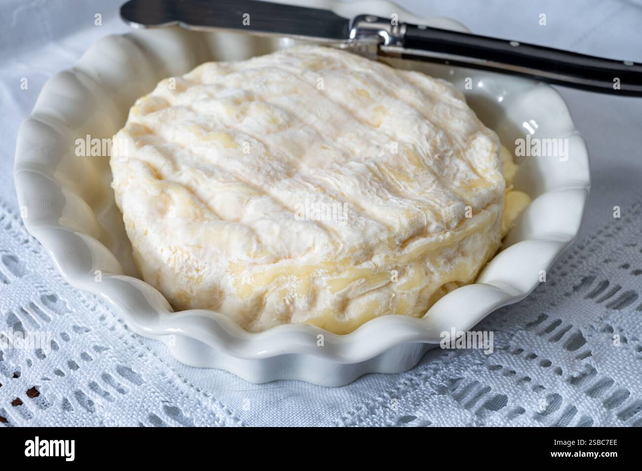 French dauphinois cheeses collection, Saint-Marcellin, creamy Saint ...