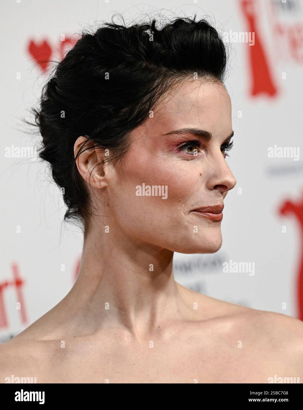 Jaimie Alexander attends the American Heart Association's Go Red for ...