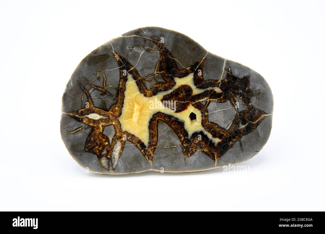 Septaria stone with jasper and mookaite Stock Photo - Alamy