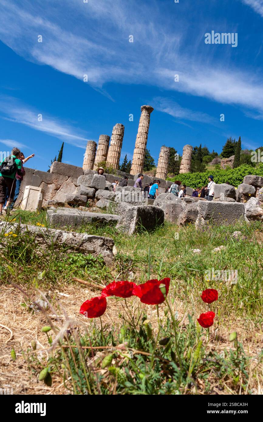 Apollo temple, Delphi archaeological site and ancient Greek monuments ...