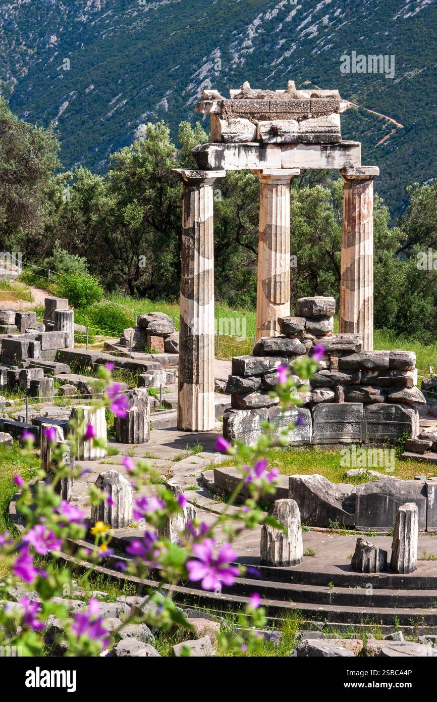 The tholos at the sanctuary of Athena Pronaea, Delphi archaeological ...