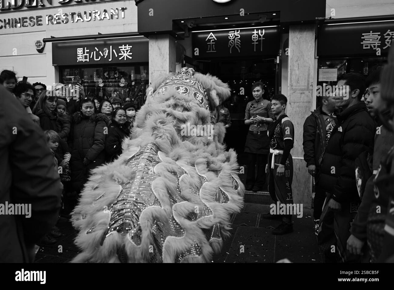 Vibrant Chinese New Year Celebration with Lion Dance in Front of a ...