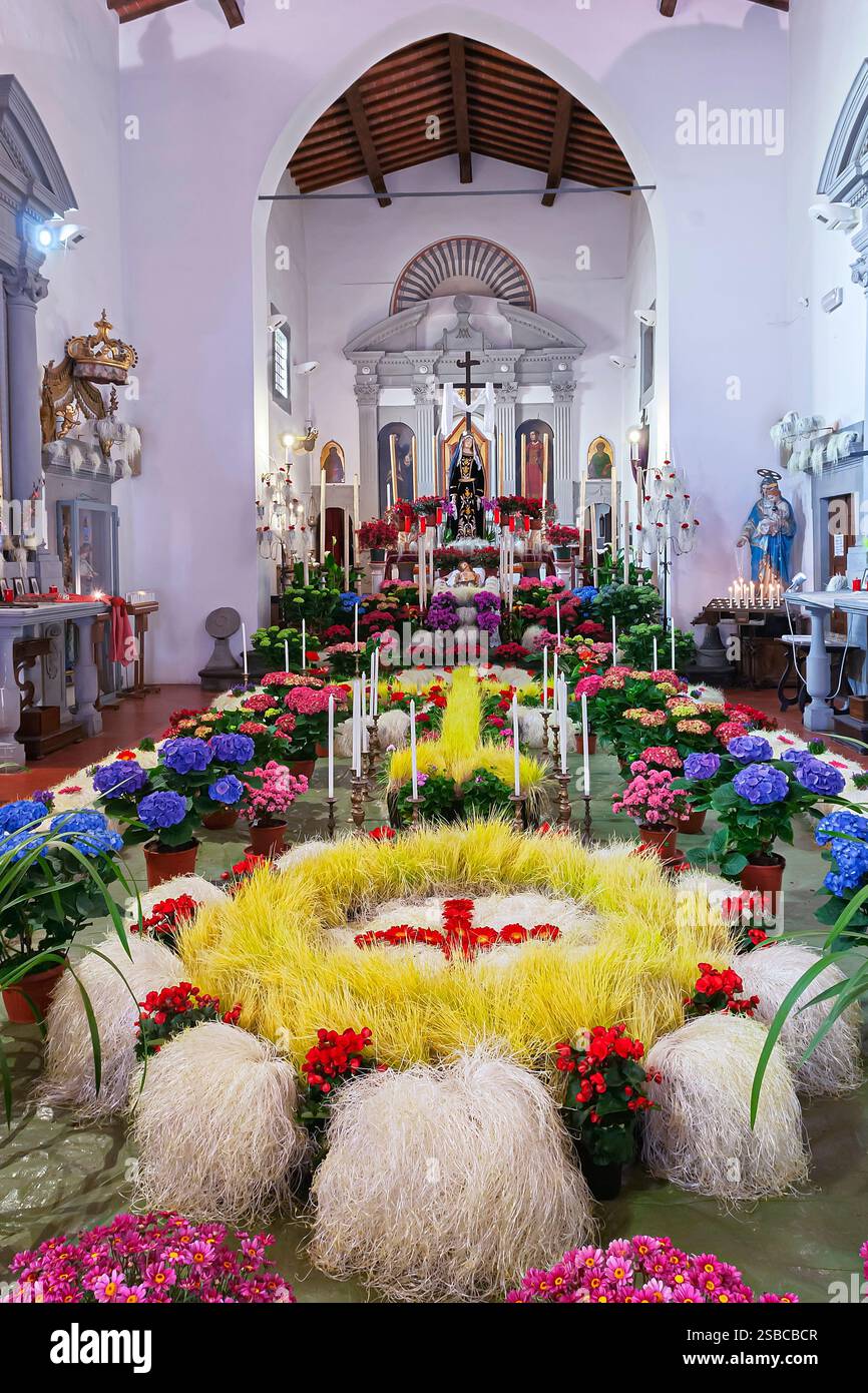 Ancient Easter tradition. Church decorated with vetch shoots (Vicia ...