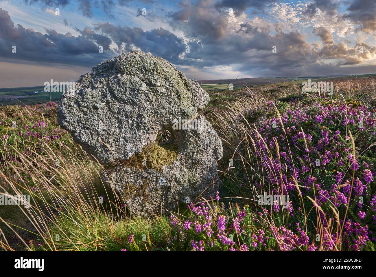 Photo of the Tregeseal East Standing Stone on the hillside to the south ...