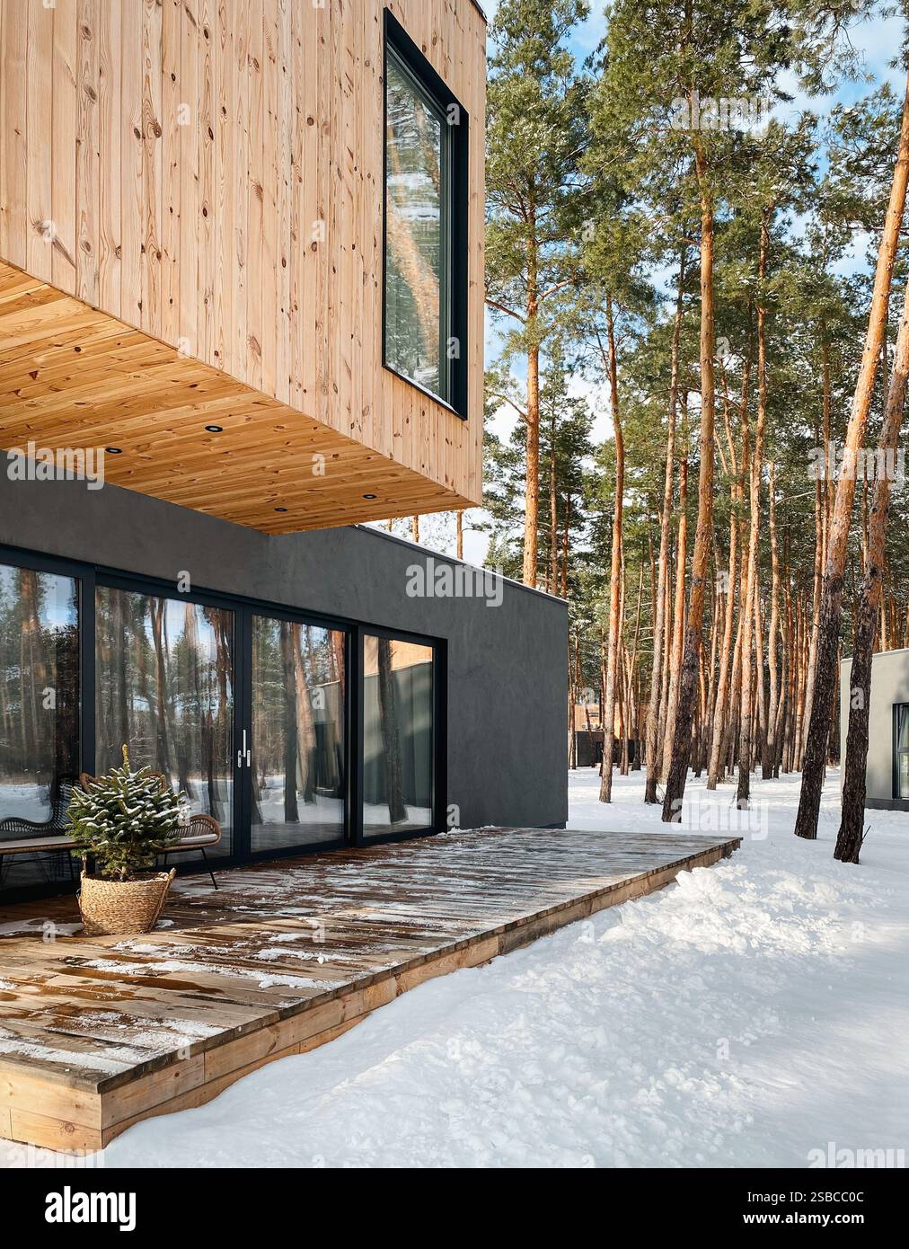 Two-storey timber-clad house in pine forest on a sunny day. Modern ...