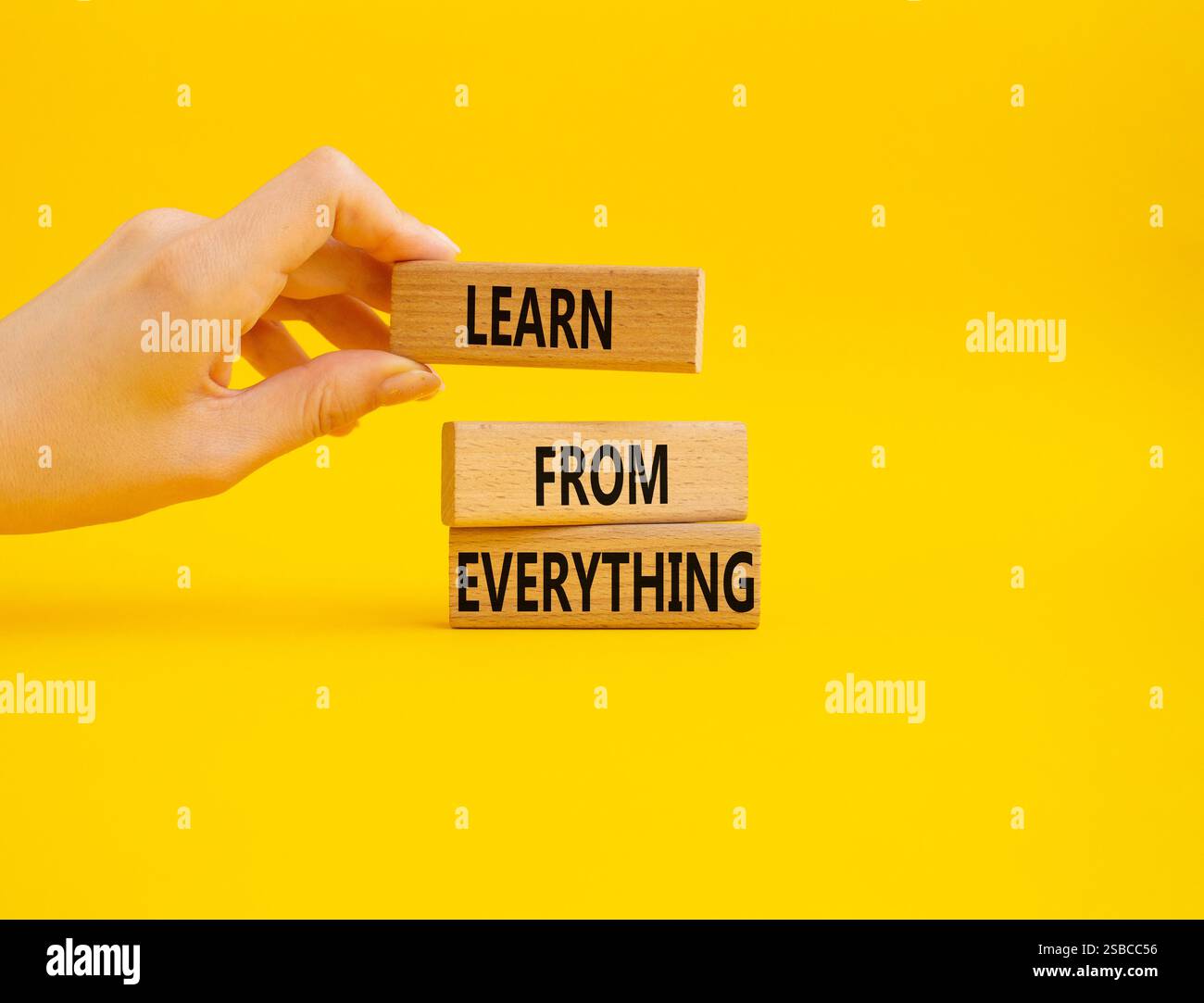 Learn from Everything symbol. Concept words Learn from Everything on ...