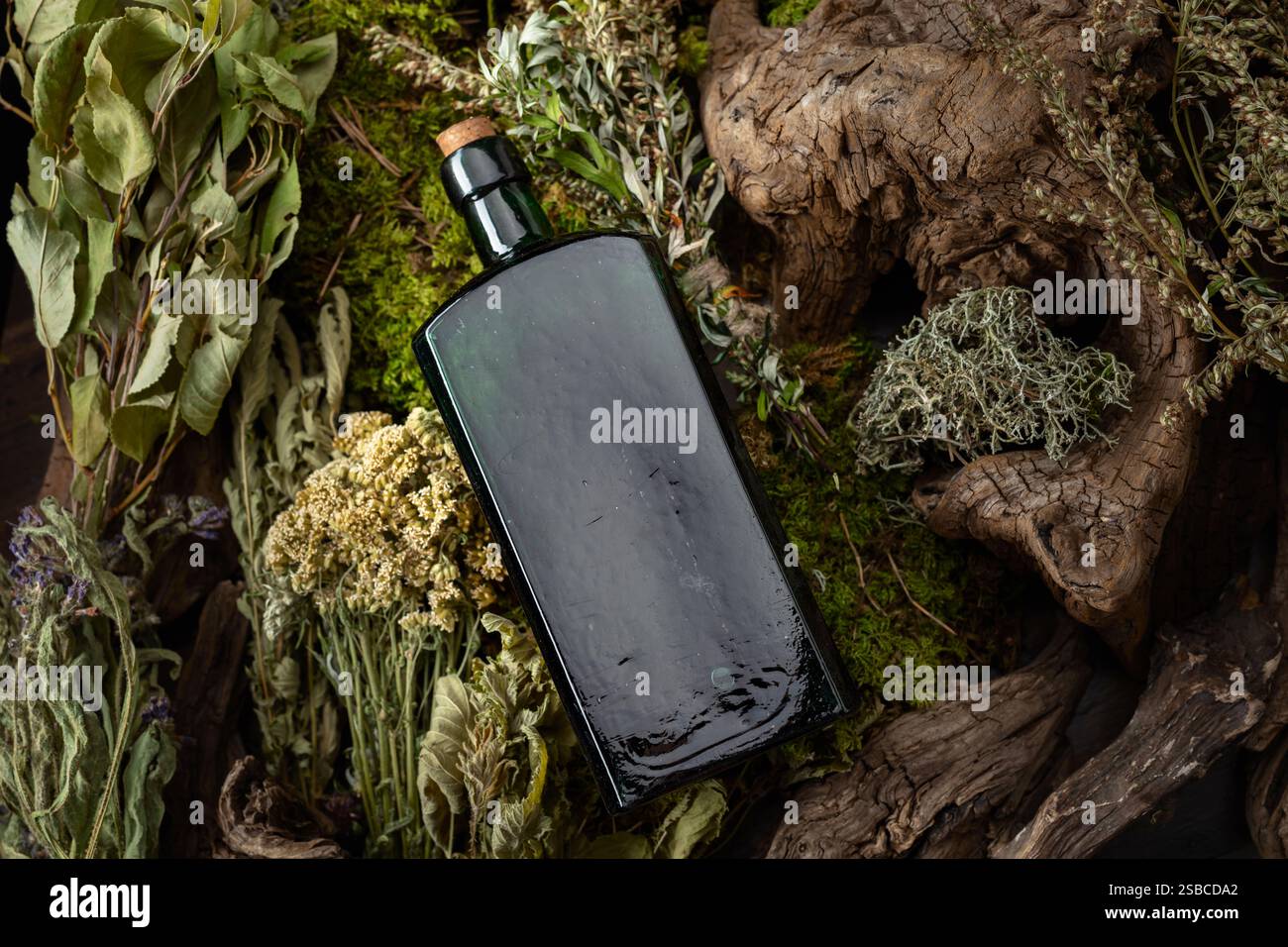 Vintage bottles with tinctures and various dried herbs. Concept of ...