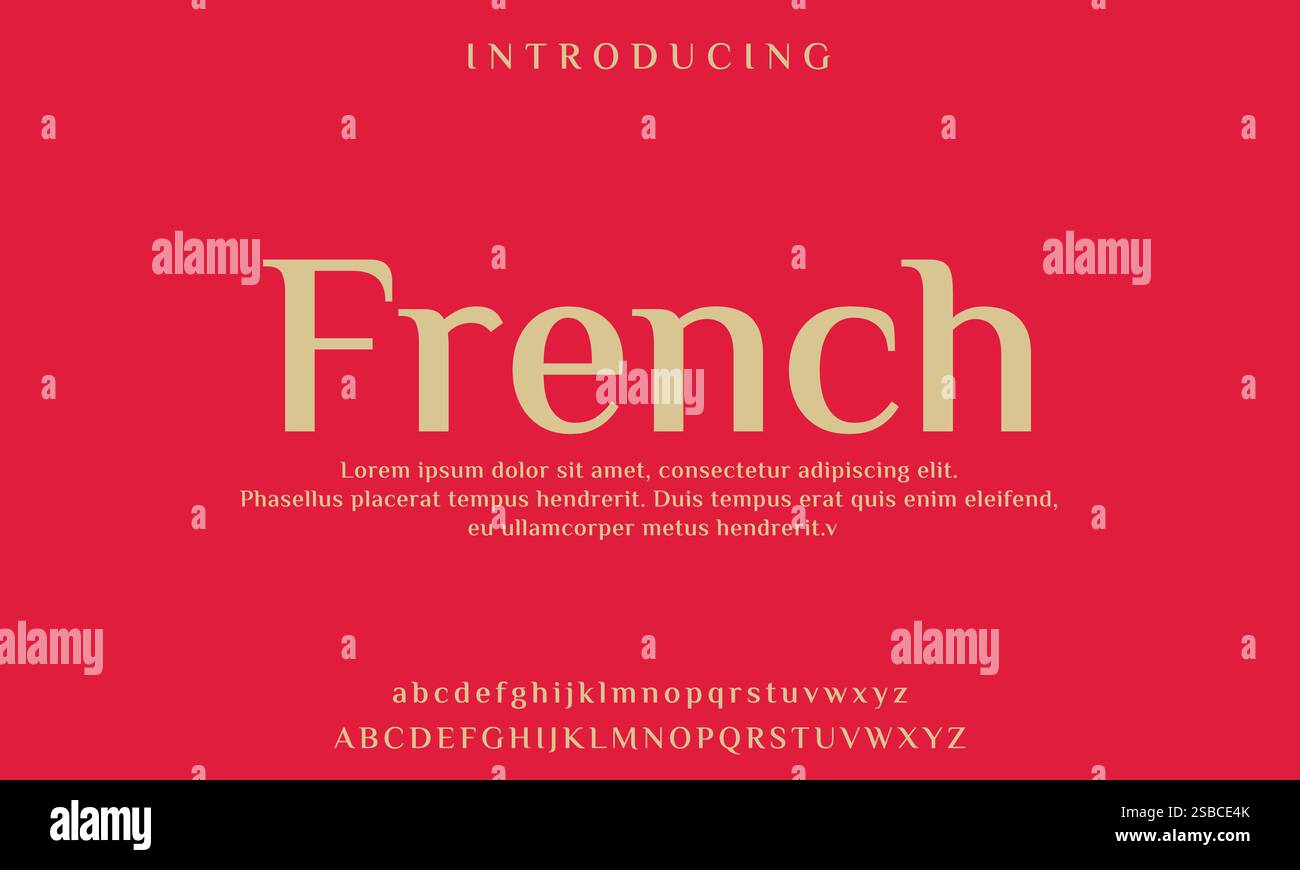 Elegant Font, Serif Typeface, Sans Serif, Modern Typography, Classic ...