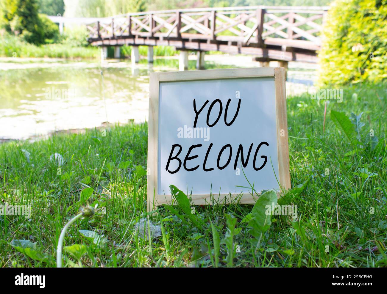 You belong symbol. White Blackboard with words You belong. Beautiful ...