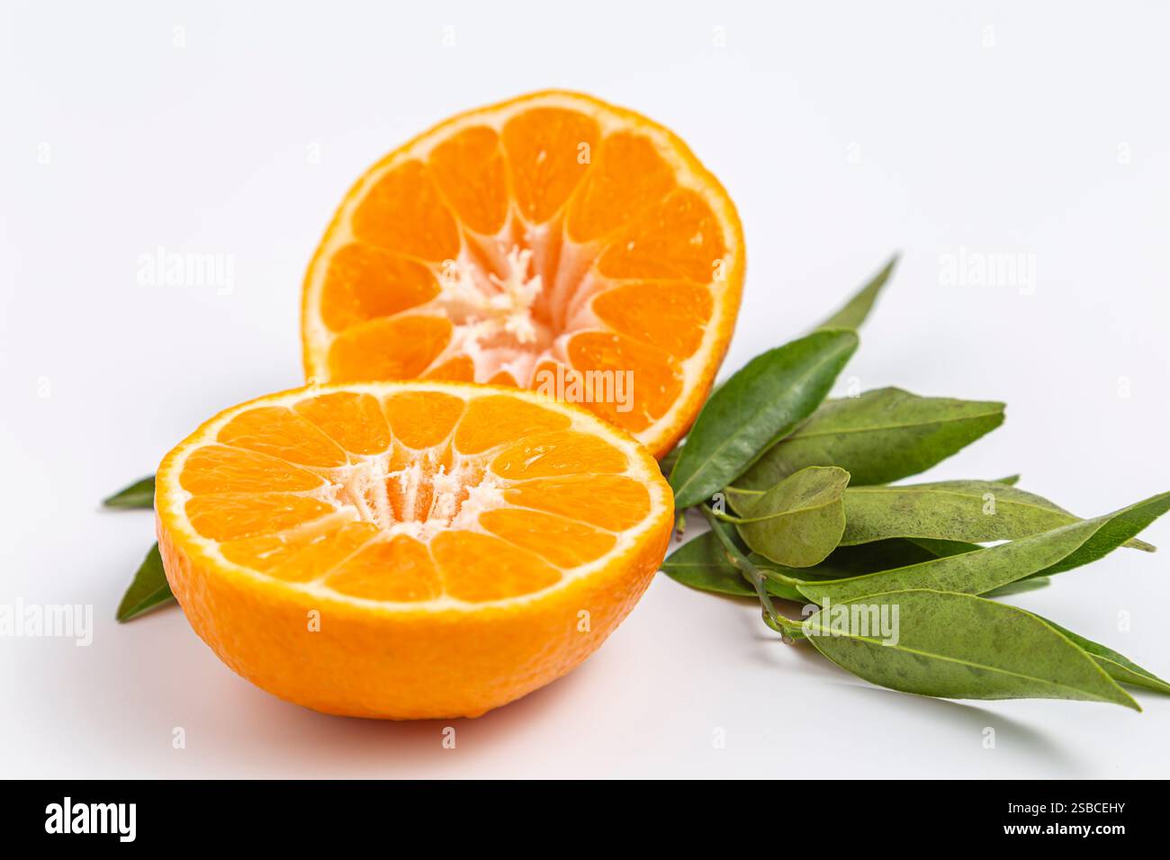Slice of juicy mandarin with green branch on a white background Stock ...