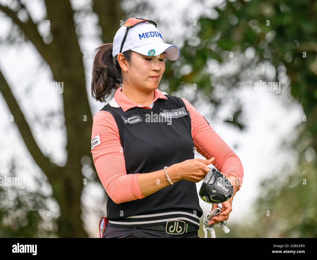 2025 0198 jpg hi-res stock photography and images - Alamy