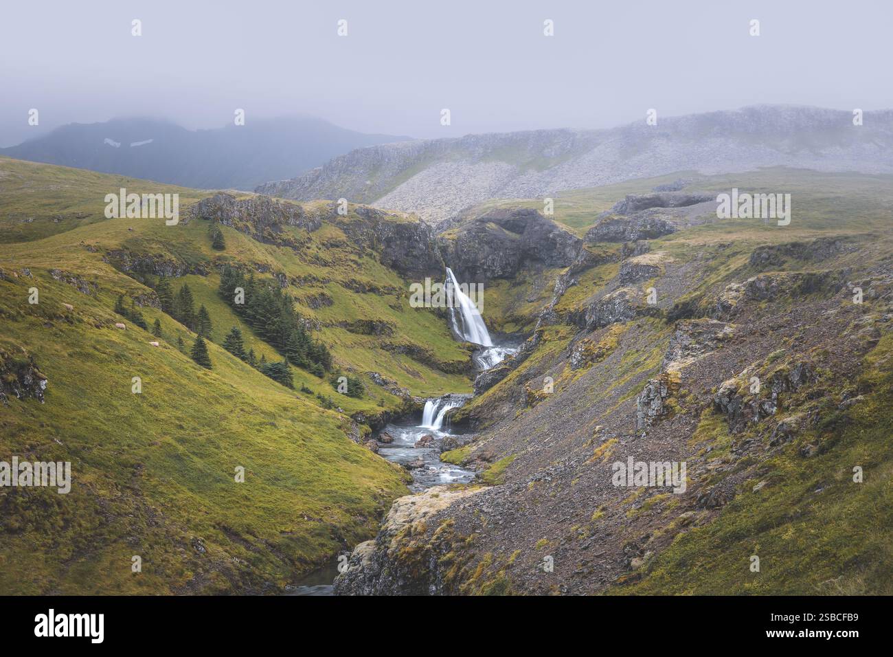 Mesmerizing waterfall cascades down moss-covered rocks on the ...