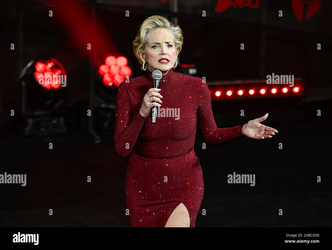 Sharon Stone hosts the American Heart Association's Go Red for Women ...