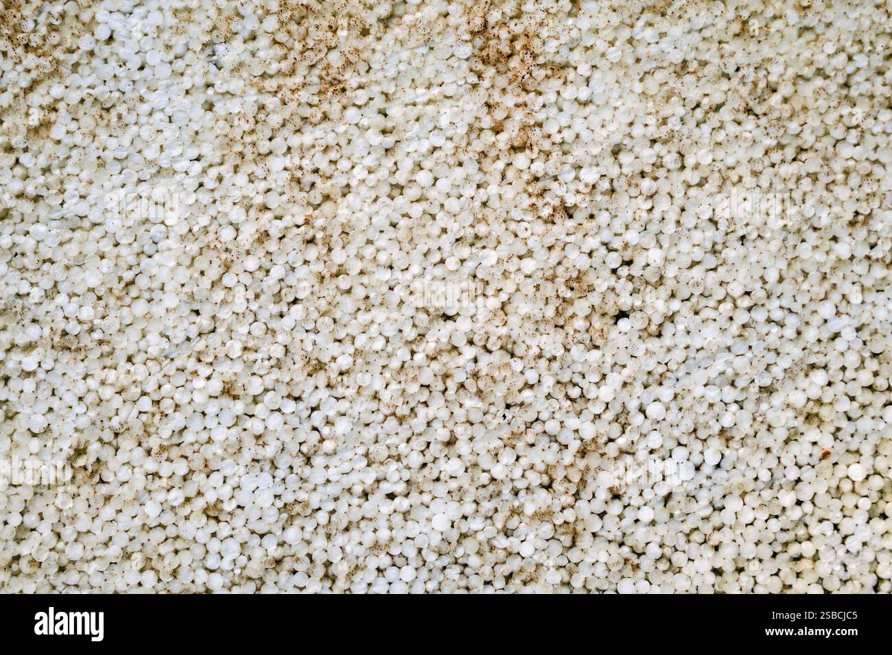 Texture from the cells of old styrofoam. Non-durable material Stock ...