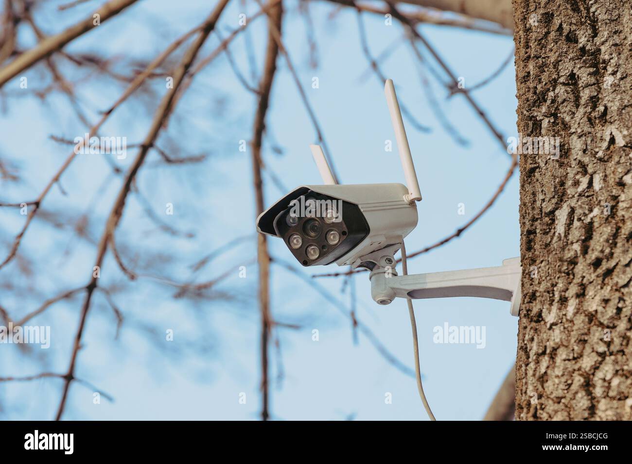 Street surveillance camera installed on a tree. Security system Stock ...