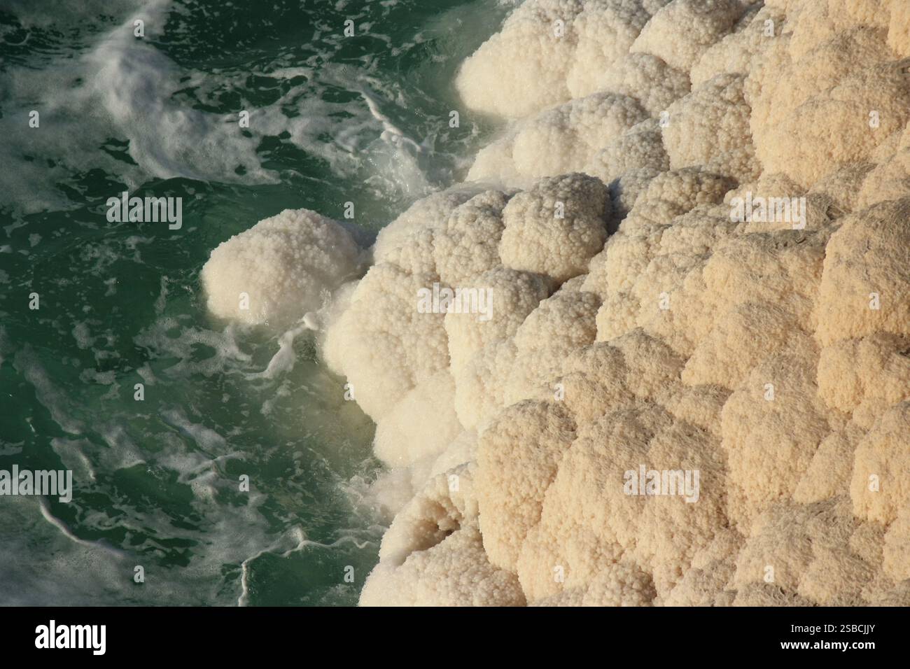 Sharp, white salt deposits encrust the rocks where the Dead Sea’s salty ...