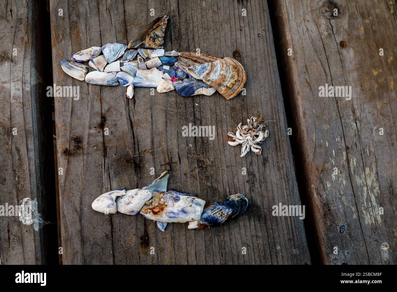 Mosaic fish art sculpture hi-res stock photography and images - Alamy