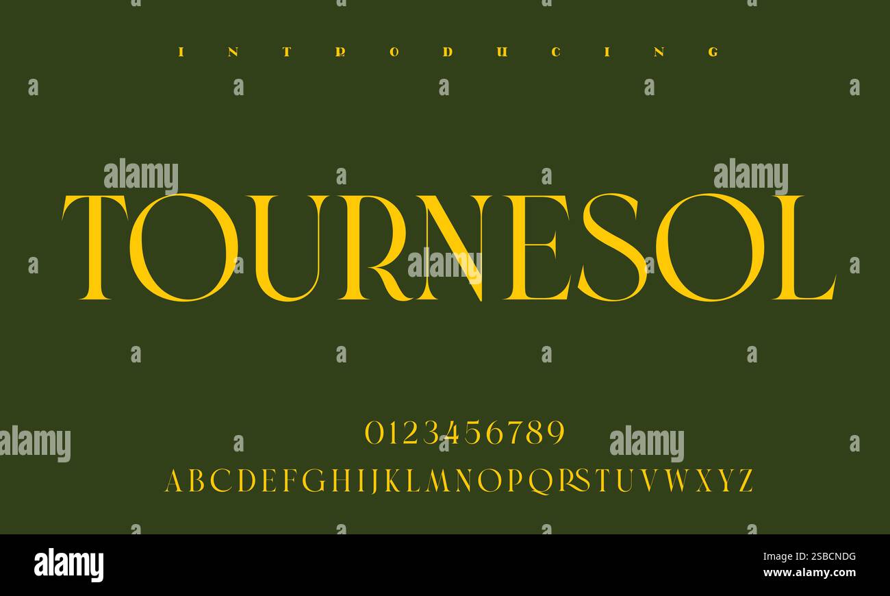 Elegant Font, Serif Typeface, Sans Serif, Modern Typography, Classic ...