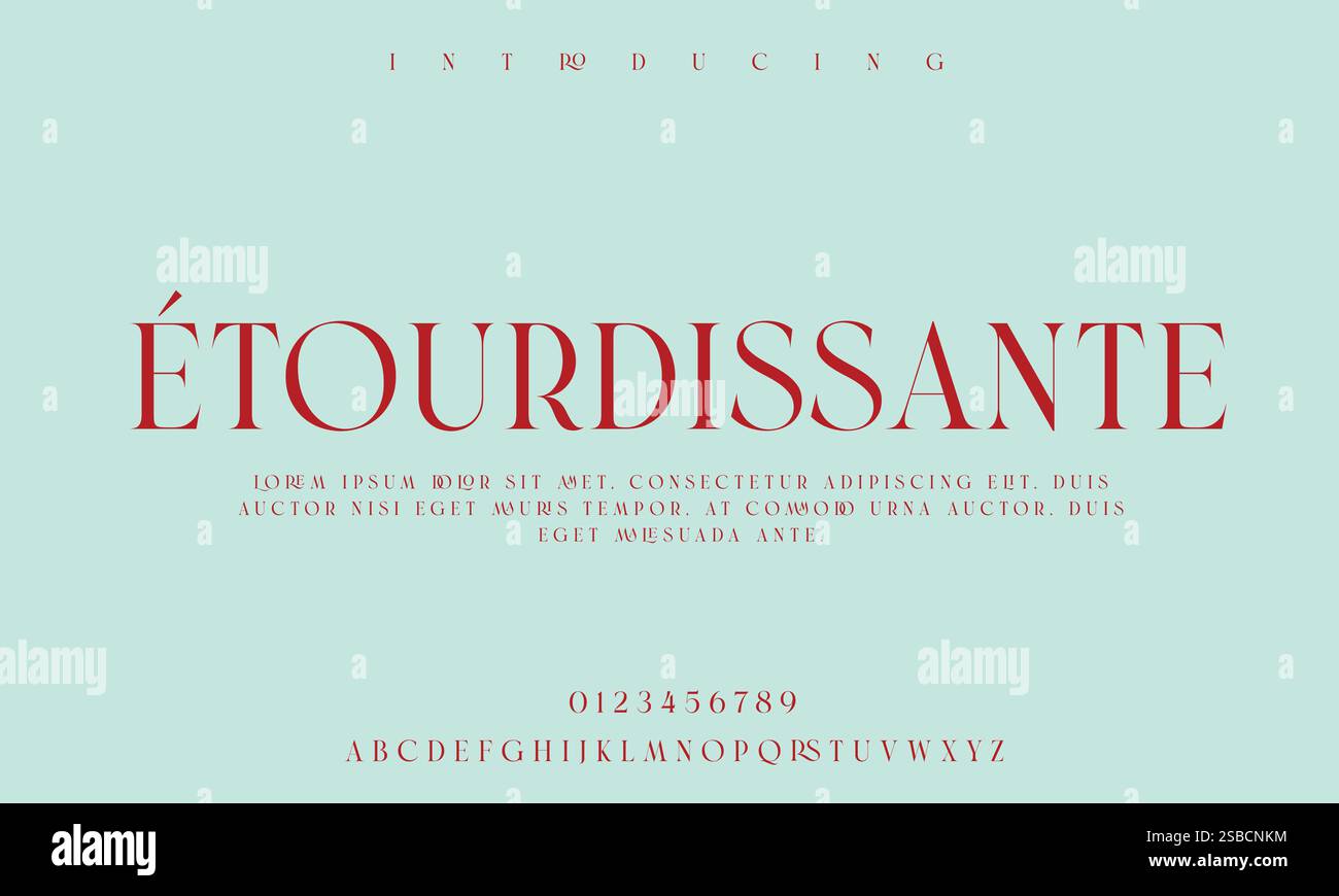 Elegant Font, Serif Typeface, Sans Serif, Modern Typography, Classic ...