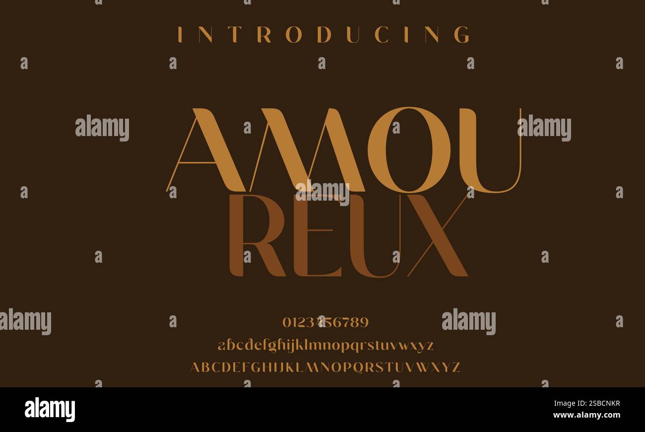 Elegant Font, Serif Typeface, Sans Serif, Modern Typography, Classic ...