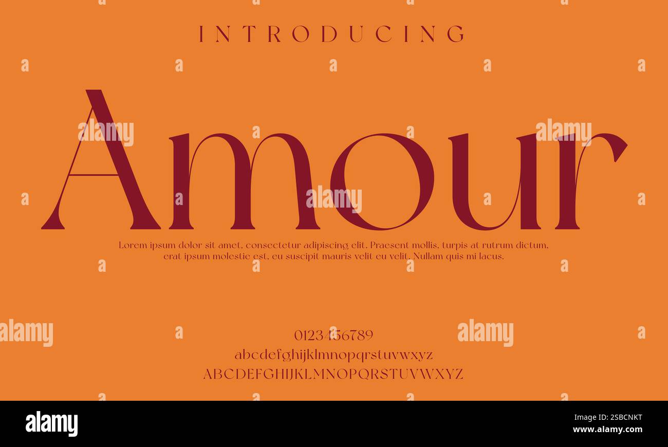 Elegant Font, Serif Typeface, Sans Serif, Modern Typography, Classic ...