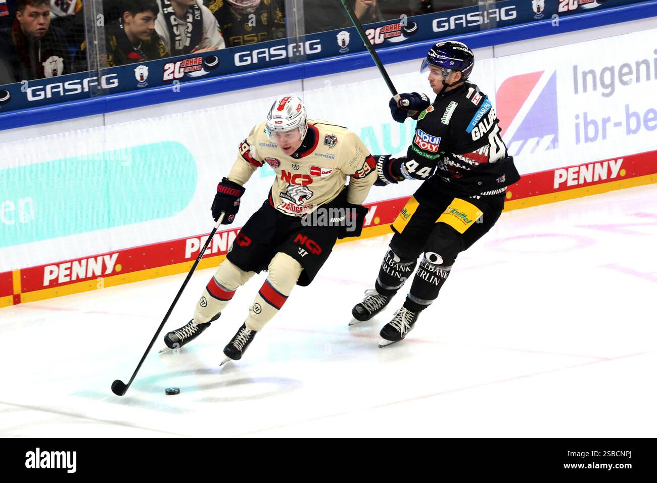 Berlin, Deutschland. 02nd Feb, 2025. 02.02.2025, Uber-Arena, Berlin ...