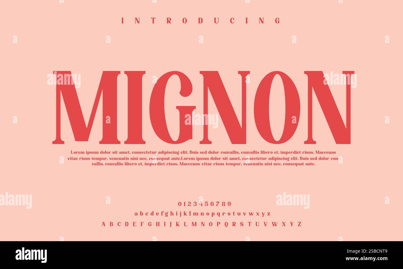 Elegant Font, Serif Typeface, Sans Serif, Modern Typography, Classic ...