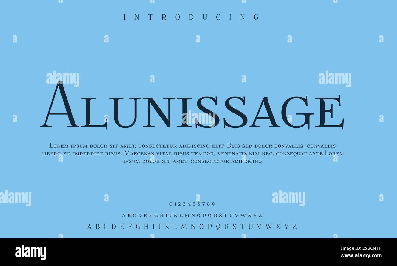 Elegant Font, Serif Typeface, Sans Serif, Modern Typography, Classic Lettering, Handwritten Font ...