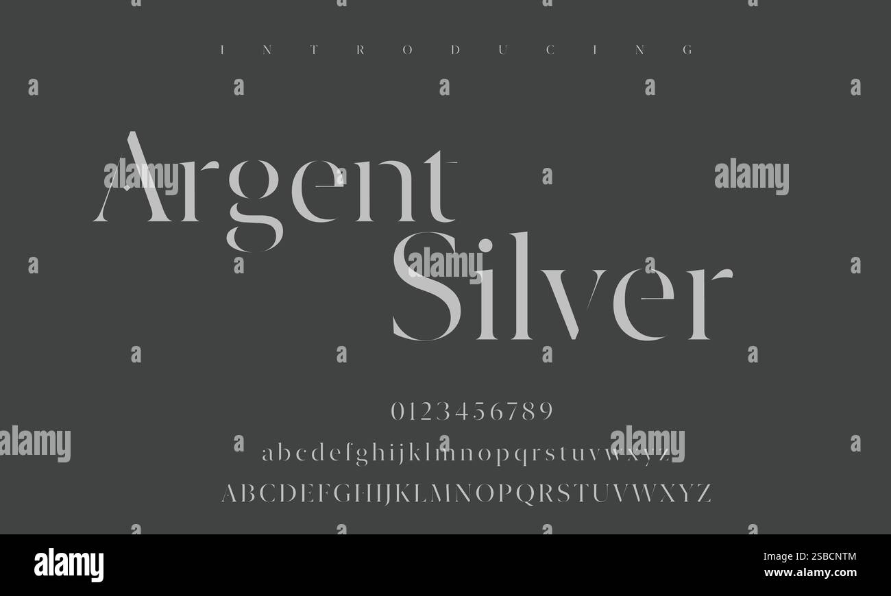 Elegant Font, Serif Typeface, Sans Serif, Modern Typography, Classic ...