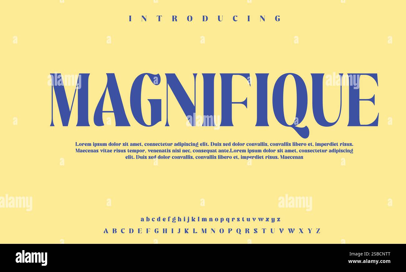 Elegant Font, Serif Typeface, Sans Serif, Modern Typography, Classic ...