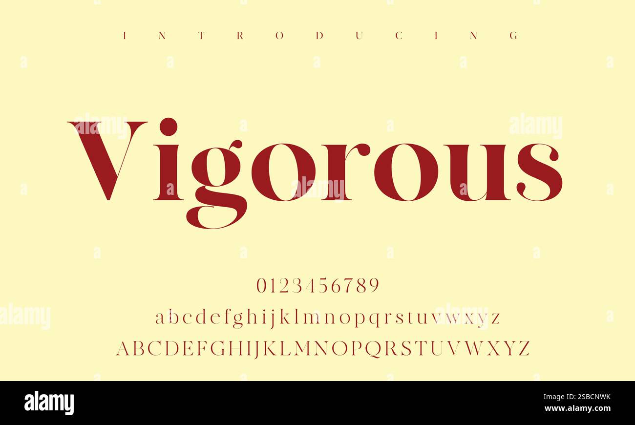 Elegant Font, Serif Typeface, Sans Serif, Modern Typography, Classic ...