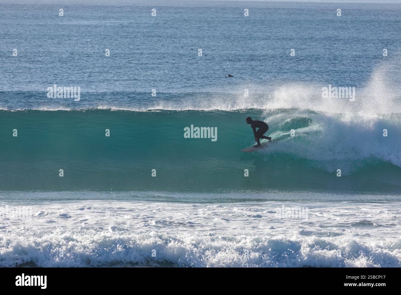 Silhouette of surfer accelerates while dropping in on a wave of blue ...