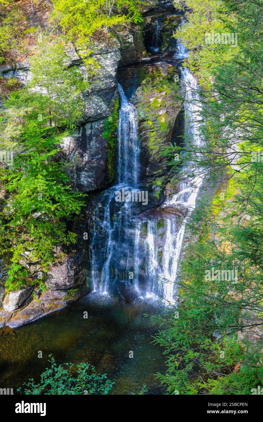 Waterfall pours over rocky cliffs into a tranquil pool surrounded by ...