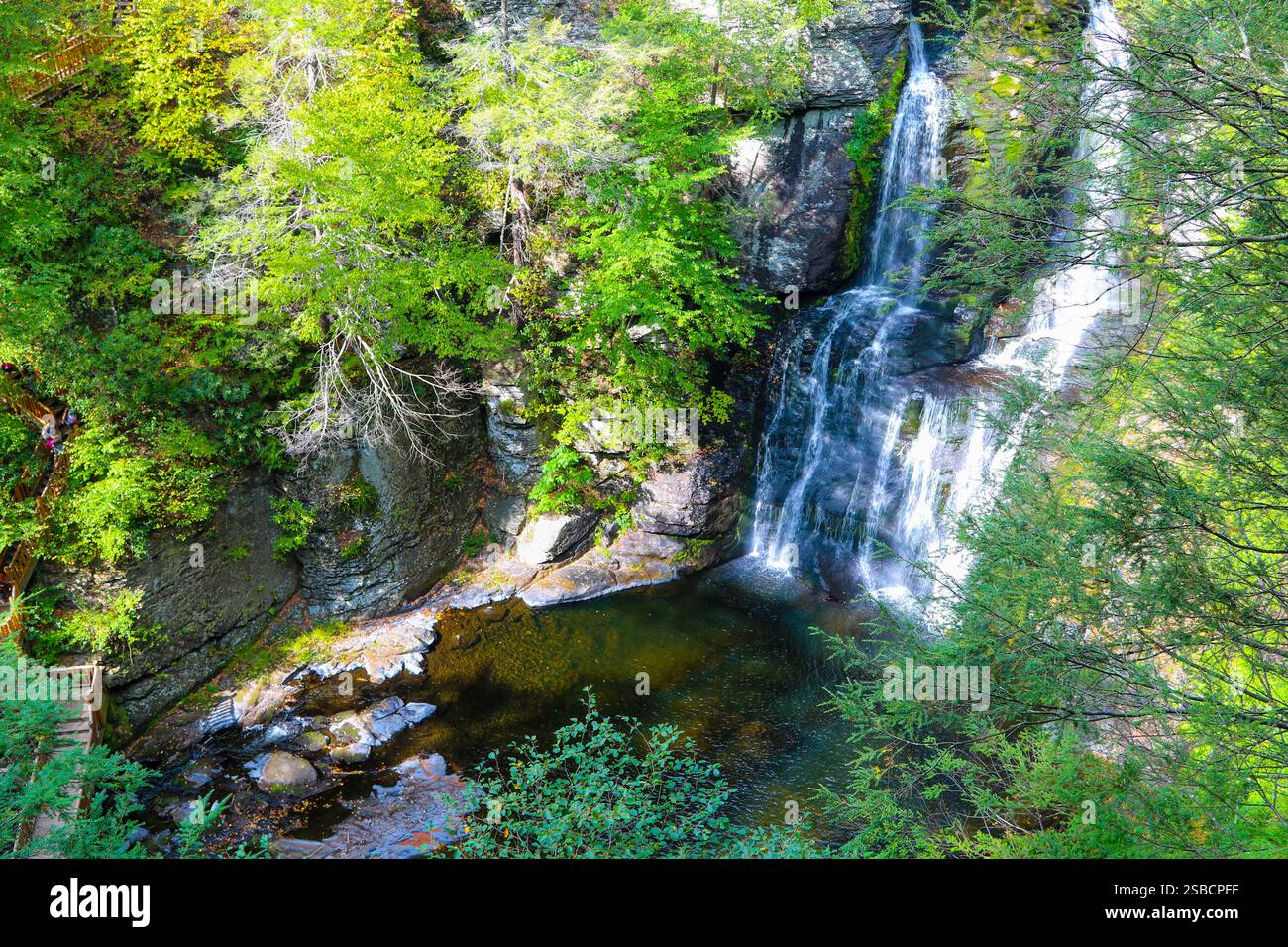 Waterfall pours over rocky cliffs into a tranquil pool surrounded by ...