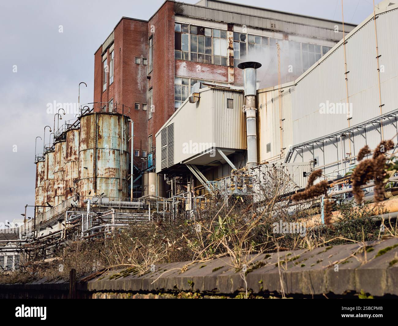 Weathered industrial chemical factory with rusted tanks and overgrown ...