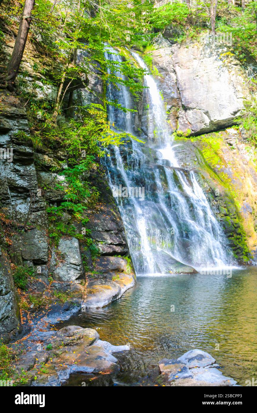 Water flows gracefully down rocks into a peaceful pool in a forest ...